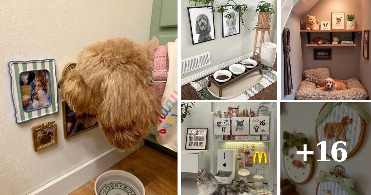 20 Dog Gallery Wall Ideas to Turn Your Pet’s Photos into Art - Lava ...